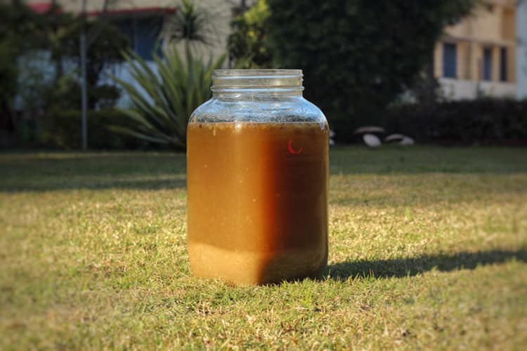 ZERO WASTE BIO ENZYME! - Health Nut